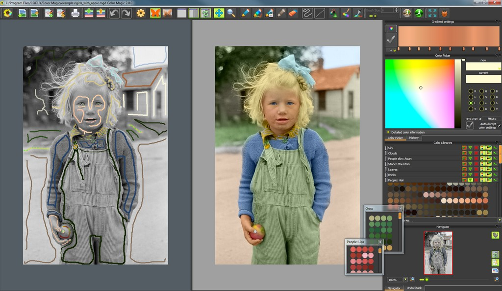 CODIJY Color Magic - Photo Manipulation Software Discount for