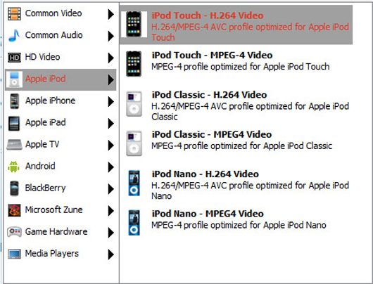 SnowFox DVD & Video Converter - DVD Ripper Software for